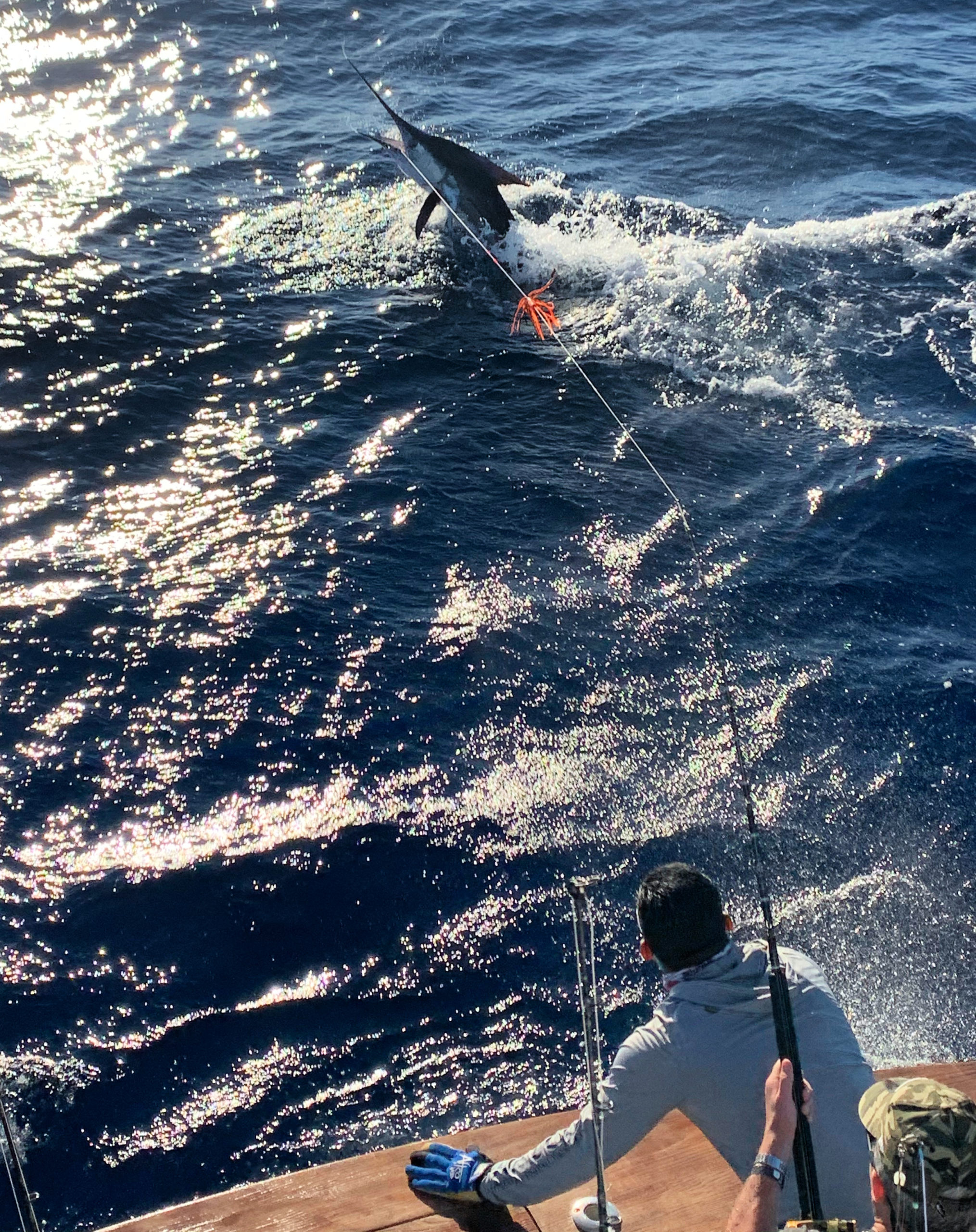 Kusler Yachts Guide to Fishing Mag Bay on Your Own Boat.